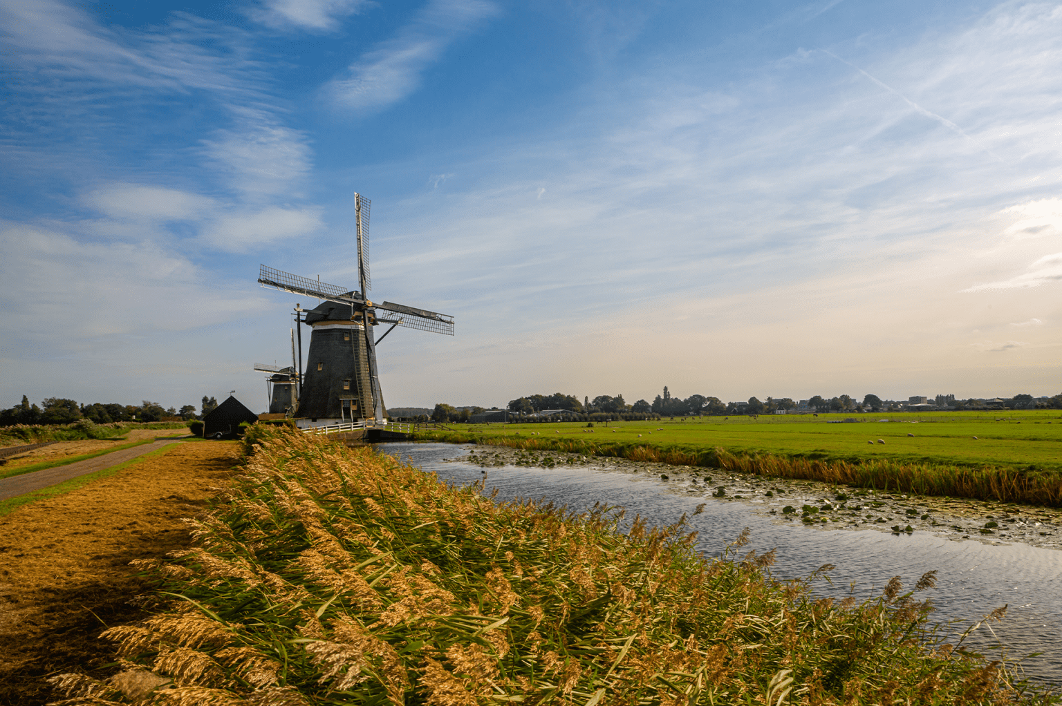 Wat is pacht en welke vormen zijn er?